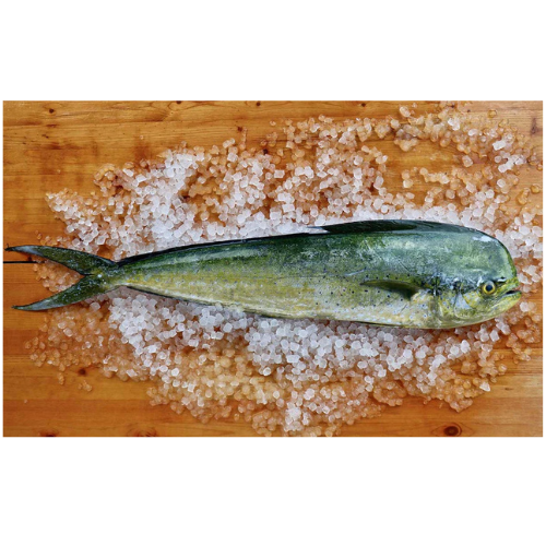 Fresh Mahi Head & Guts – Gourmet Foods BVI