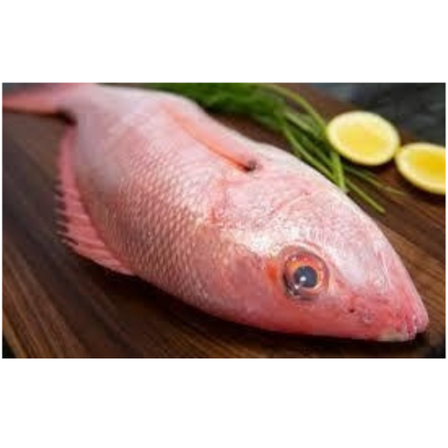 Fresh Snapper Whole 2-6 – Gourmet Foods BVI
